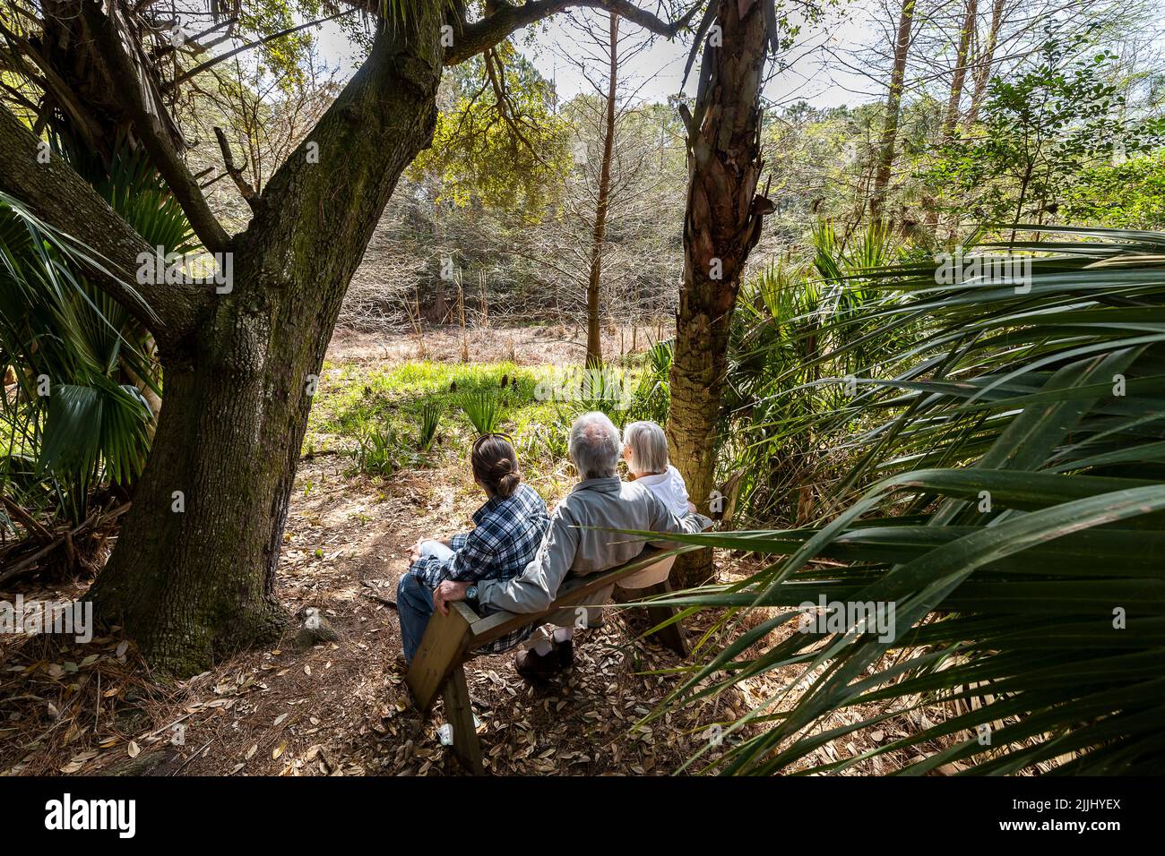Family at Cypress swamp on Dewees Island, S.C Stock Photo - Alamy