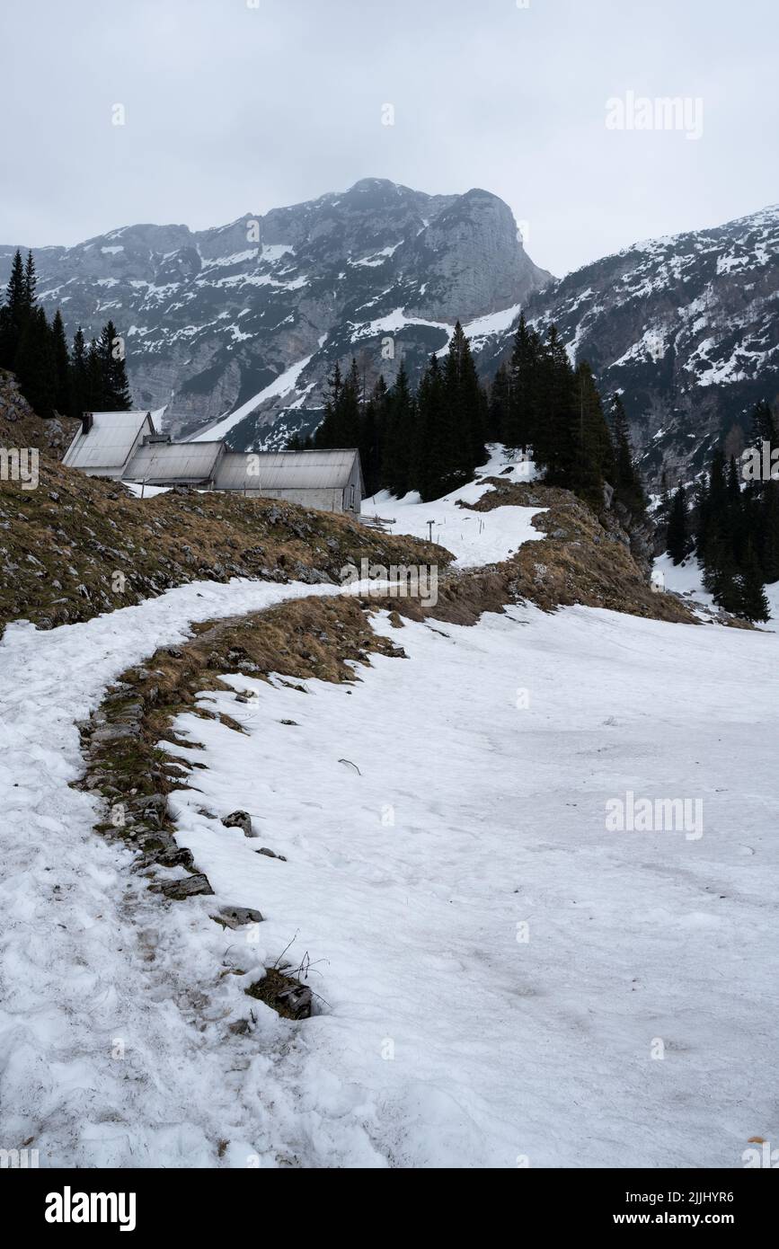 A vertical shot of a cabin in a forest with beautiful snowy mountains ...