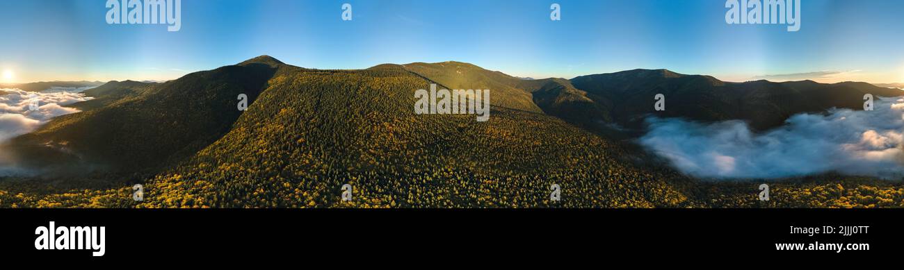 Aerial view of hillside with dark spruce forest trees at fall bright ...