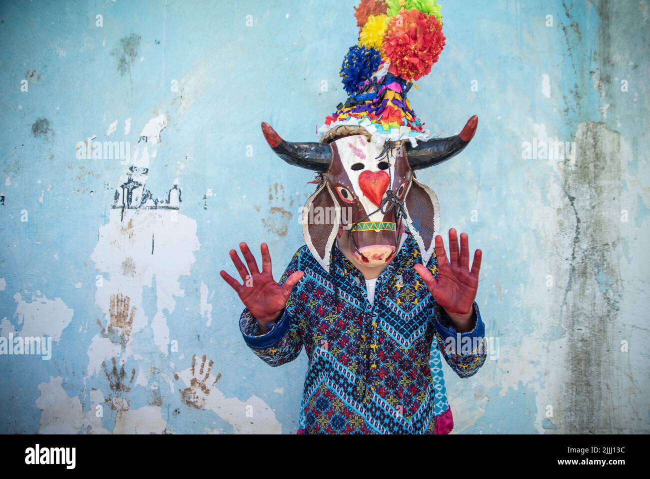 Alto Tio Diego, Veracuz, Mexico. 26th Feb, 2020. Wearing a bull mask ...
