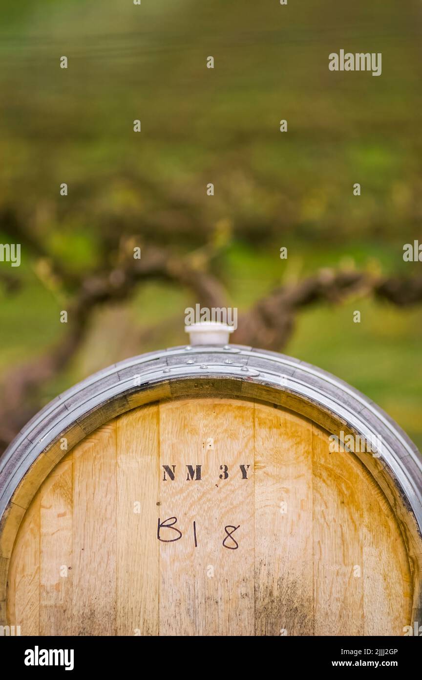 Wine barrel in vineyard with rows of vines out of focus in the distance ...