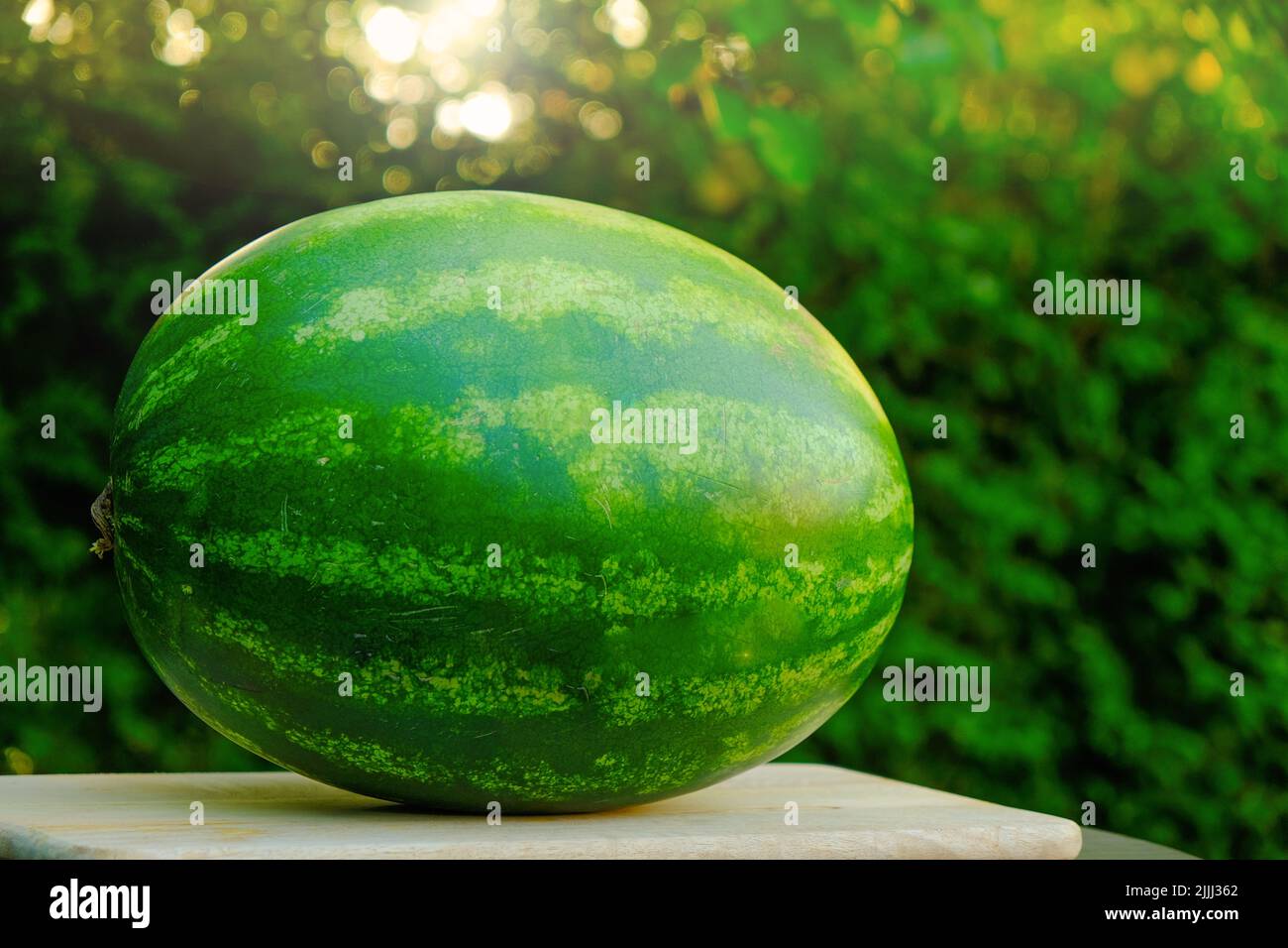 Big watermelon hi-res stock photography and images - Alamy