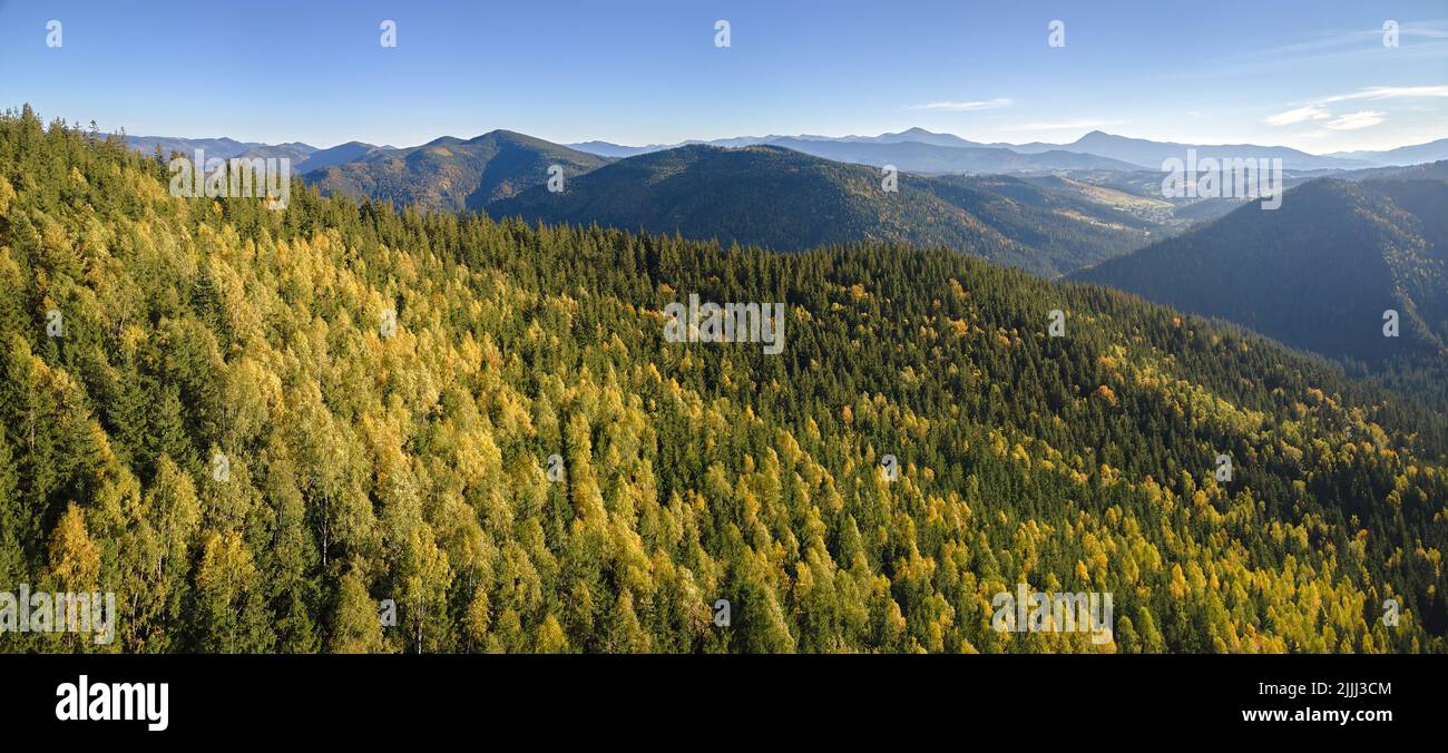 High hills with dark pine woods on autumn bright day. Amazing scenery ...