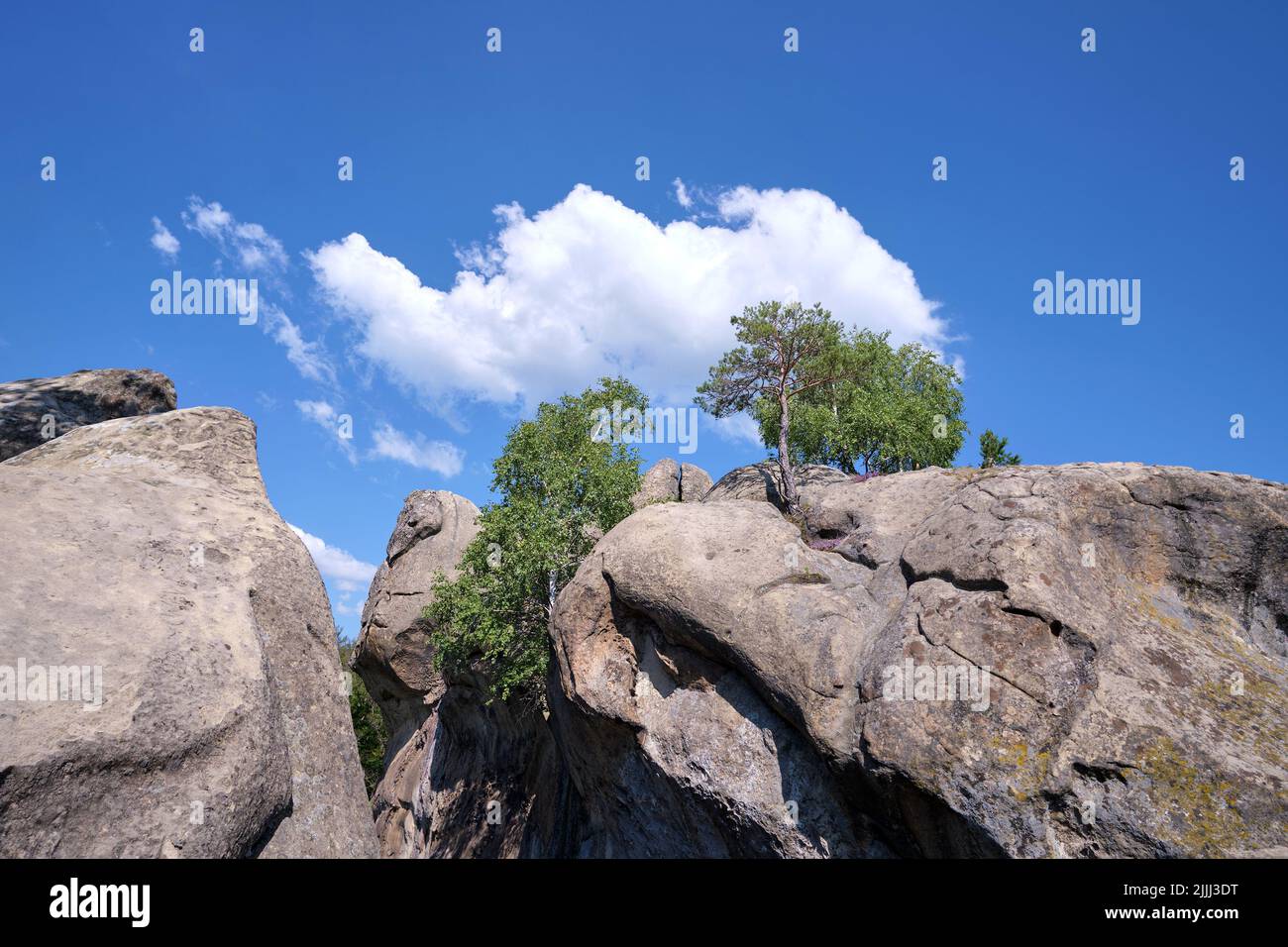 Huge rocky boulder formations high in mountains with growing trees on ...