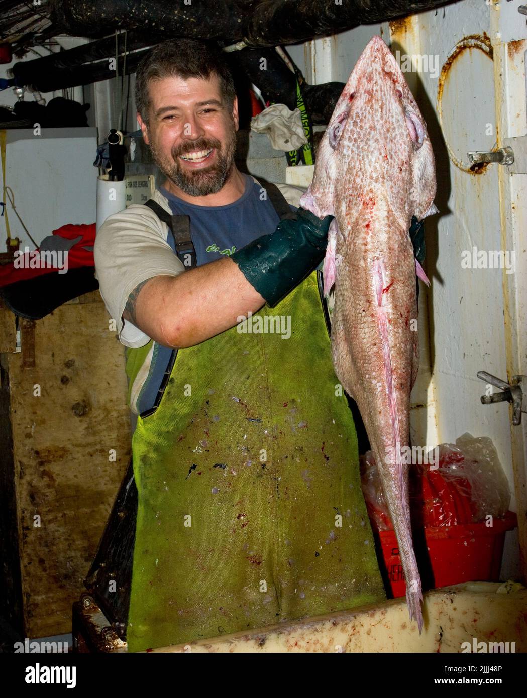 Grenadier fish in the ocean hi-res stock photography and images - Alamy