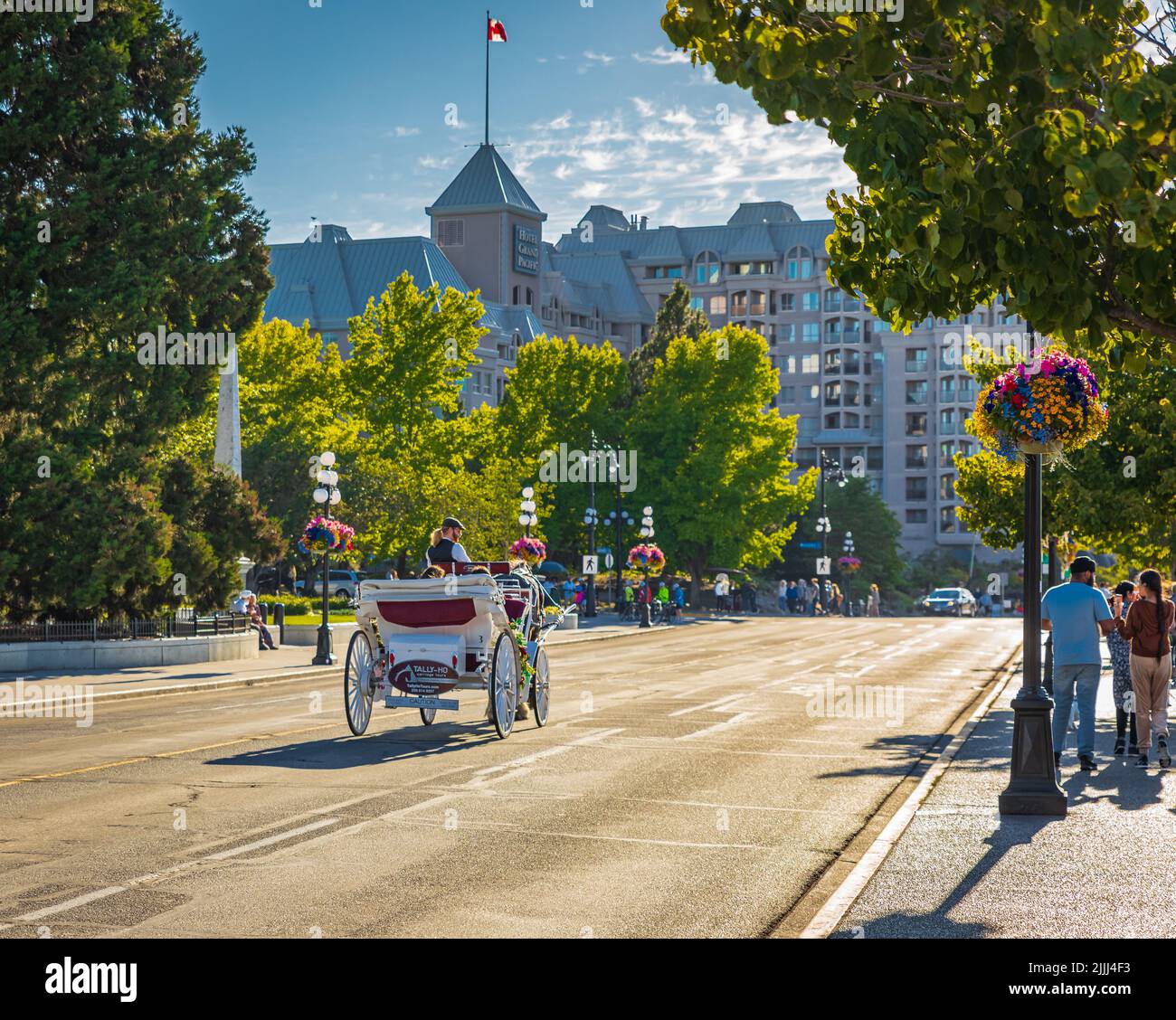 Carriage Ride In Victoria BC Canada at sunset. A horse drawn carriage ...