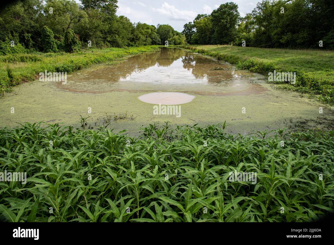 Multiple inlet side irrigation Stock Photo - Alamy