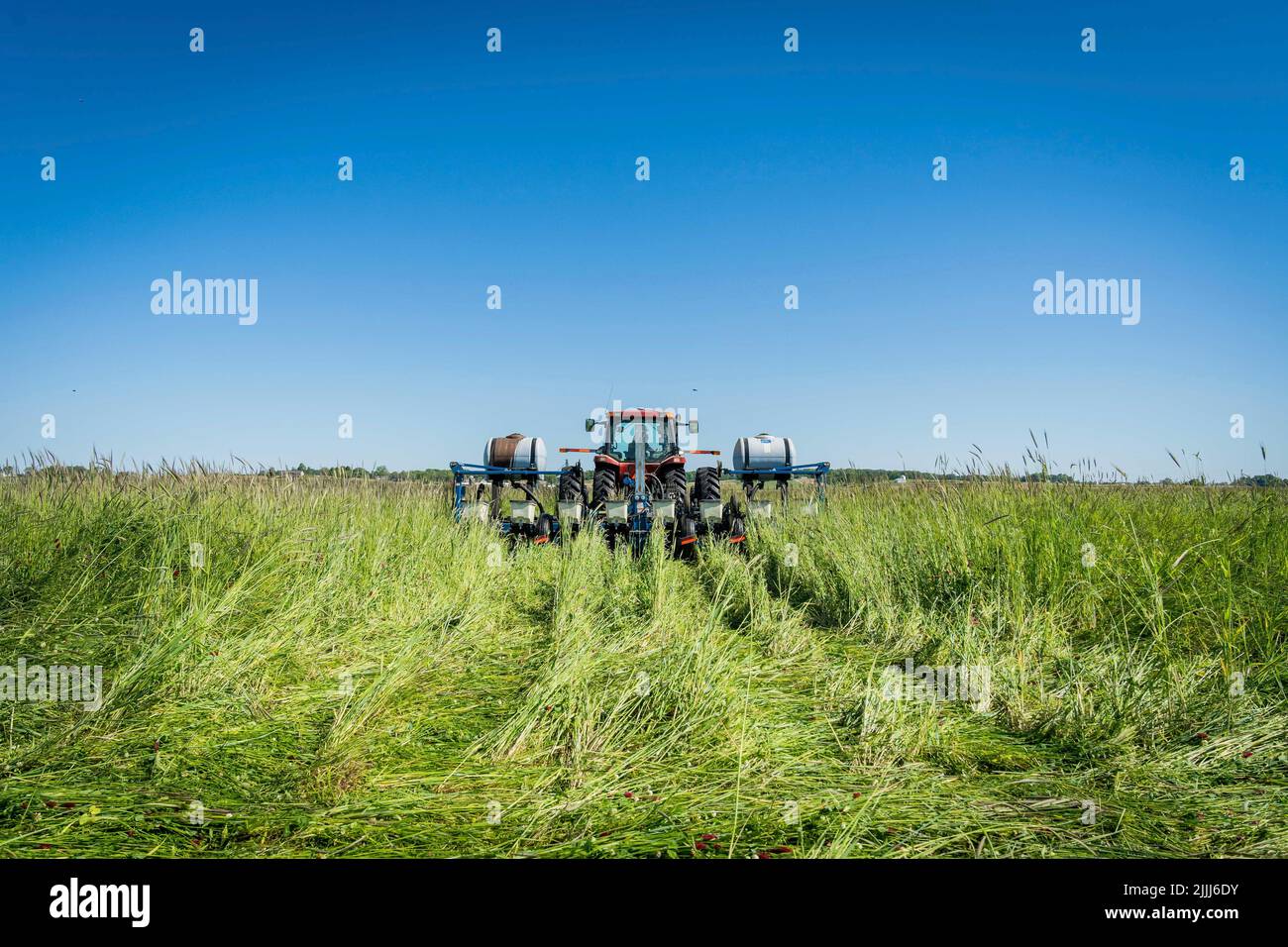 Farmer planting corn directly into cover crops Stock Photo - Alamy