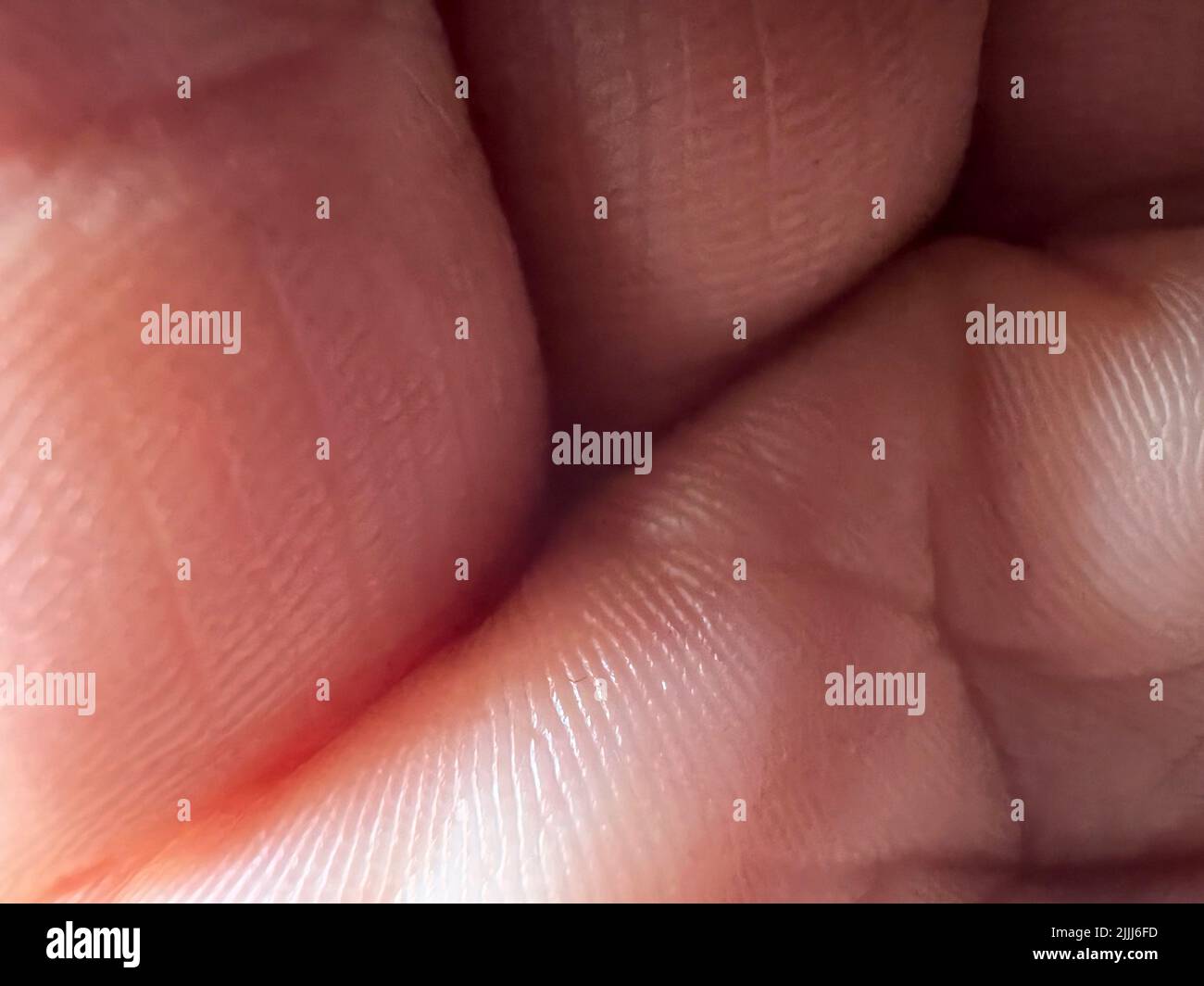 Palm of hand Stock Photo - Alamy