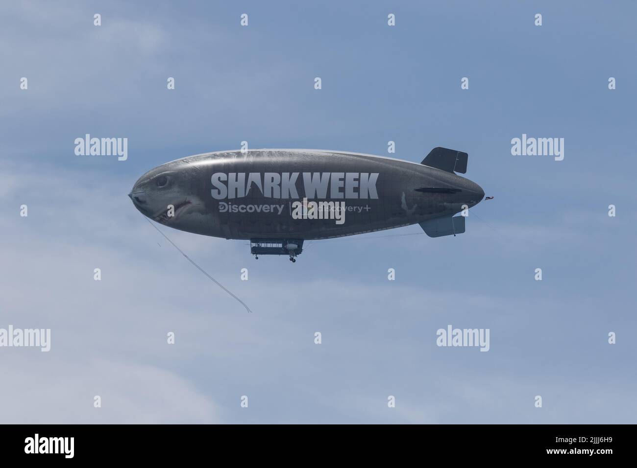 Shark week hi-res stock photography and images - Alamy
