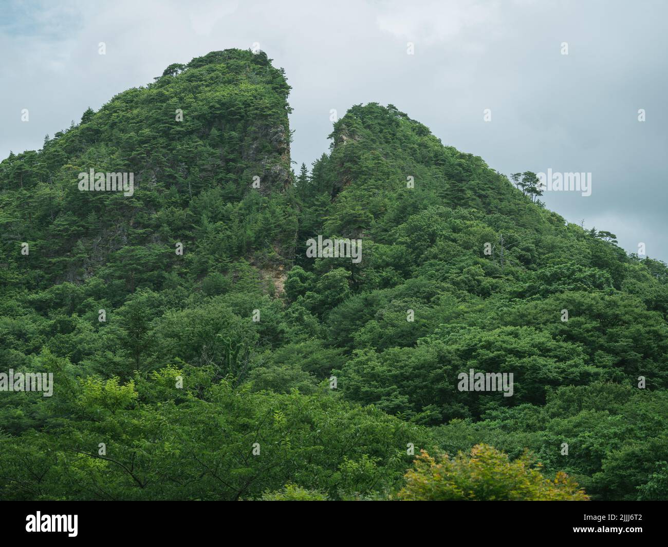 A view of the split-top mountain of the Sado island gold mine on July ...