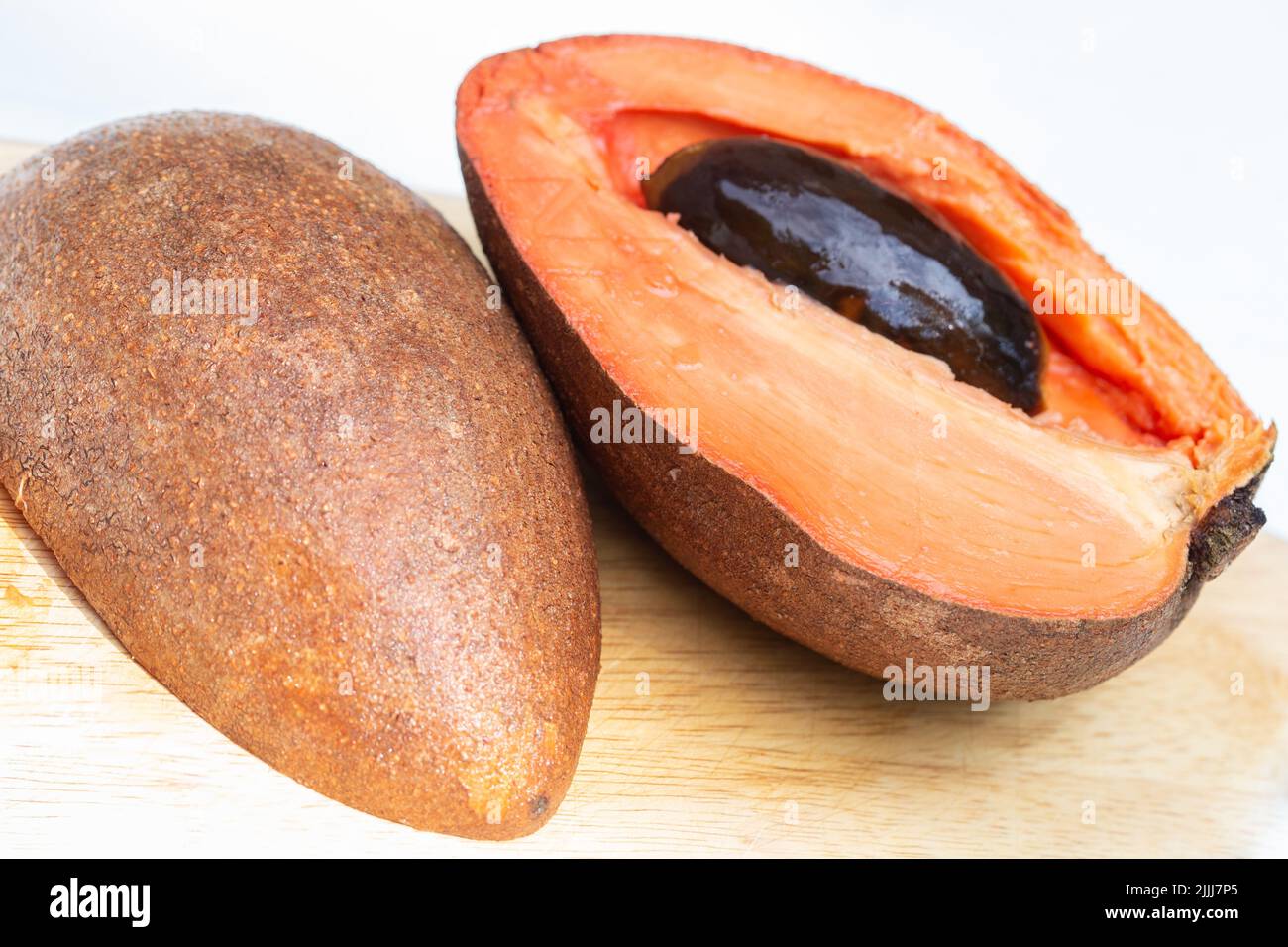 Mamey In English