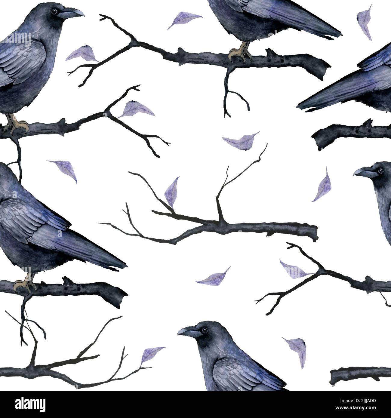 Watercolor hand drawn seamless pattern with black raven bird purple ...