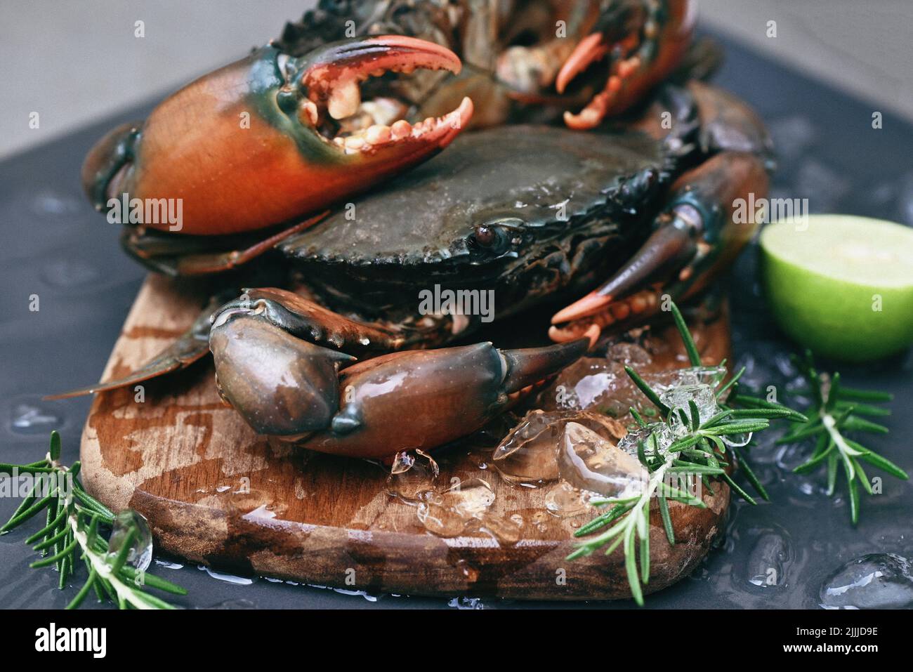 raw crab on wooden cutting board background , fresh mud crab with ice ...