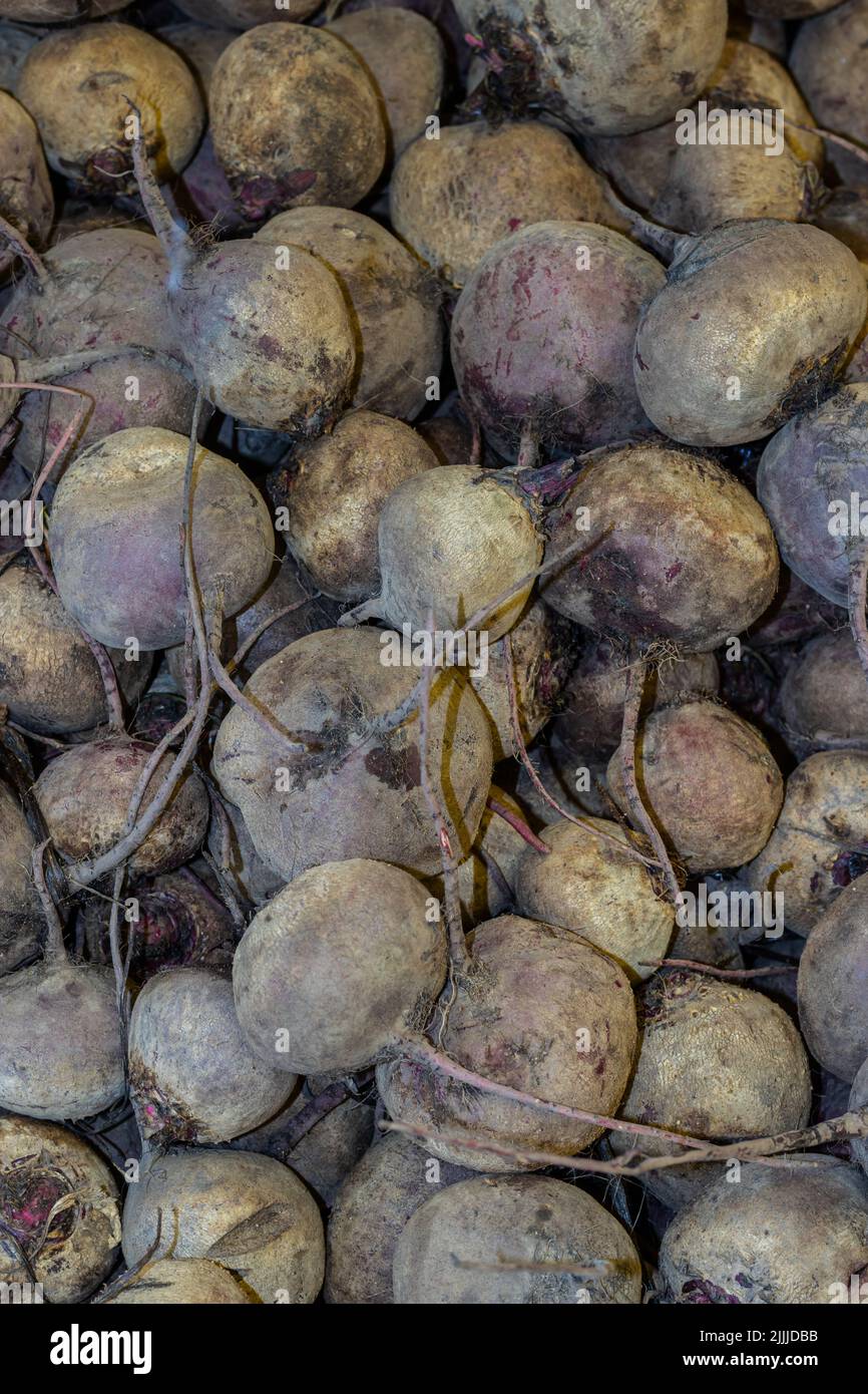 Anaemia pregnancy hi-res stock photography and images - Alamy