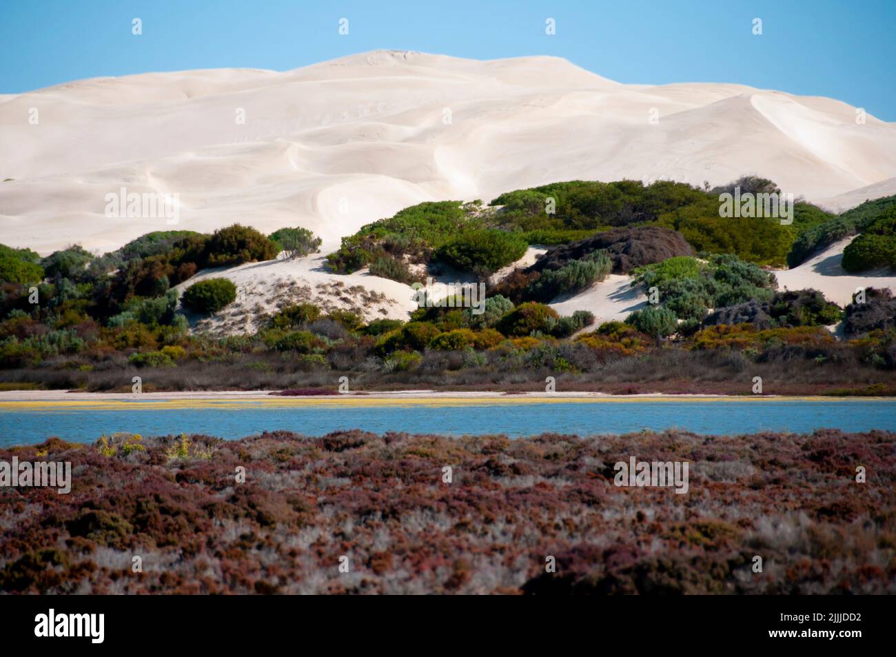 Point Sinclair Sand Dunes - South Australia Stock Photo - Alamy