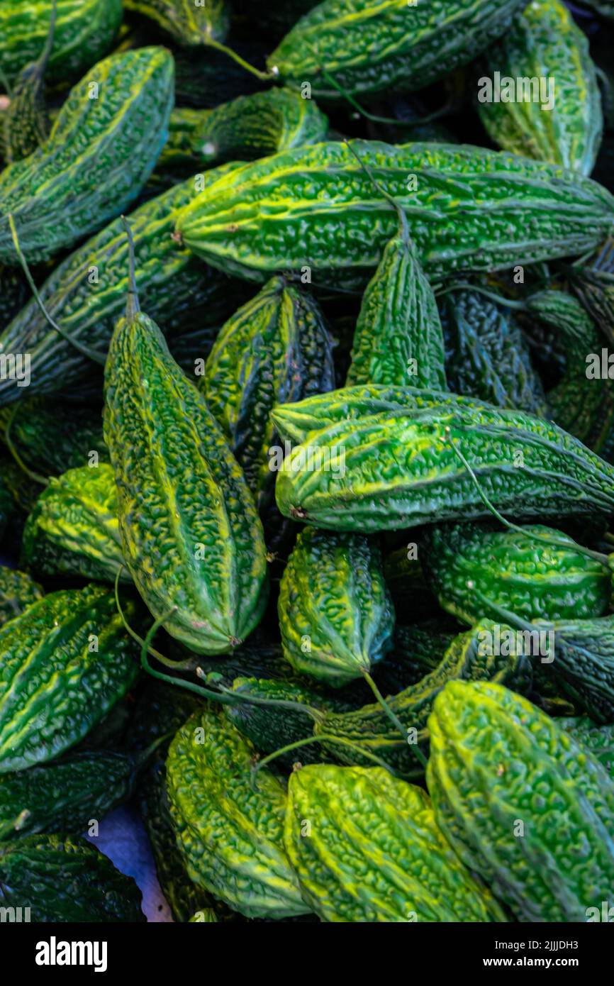 fresh organic bitter guard from farm close up from different angle ...