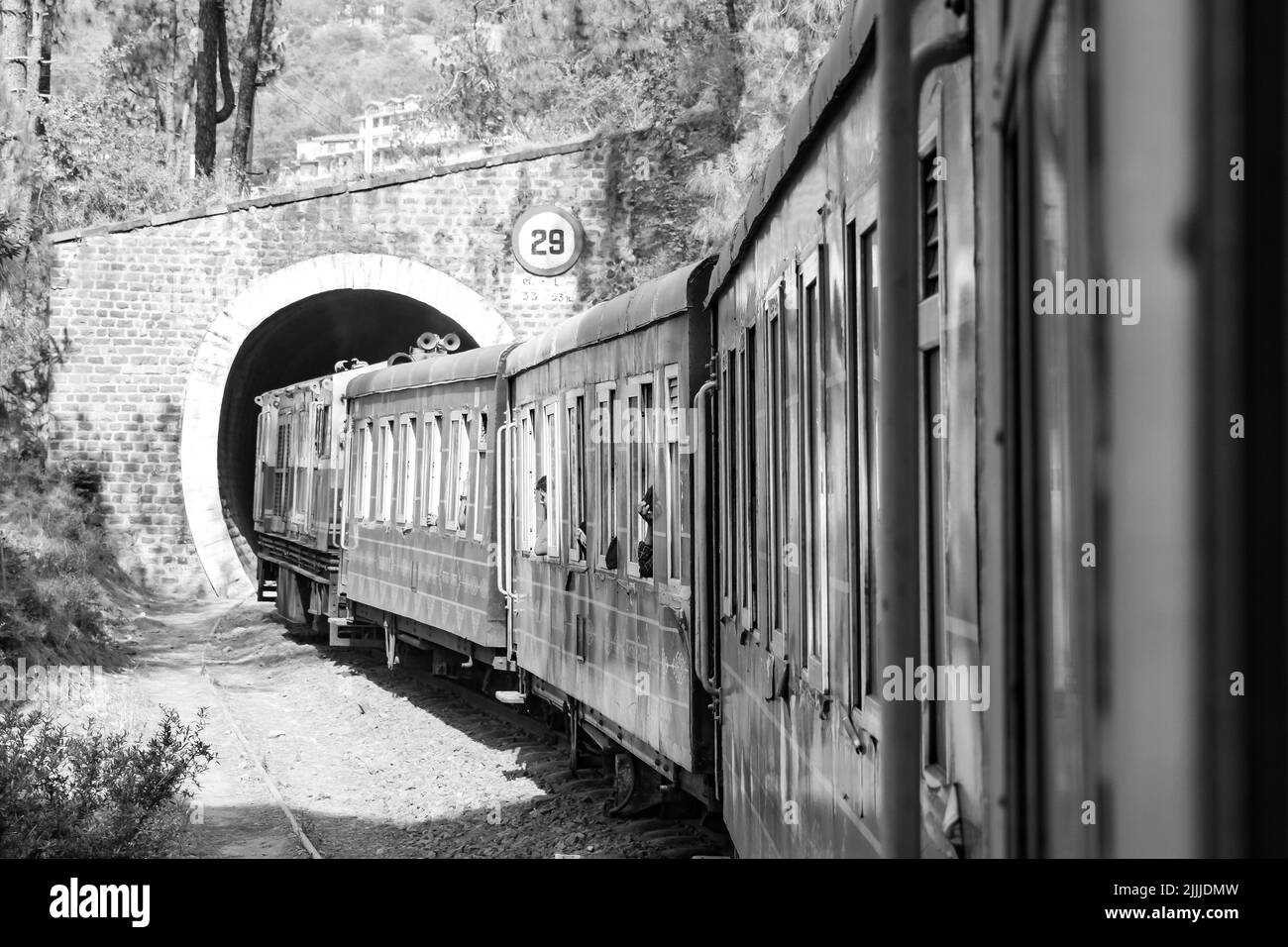 Signal hill garden Black and White Stock Photos & Images - Alamy