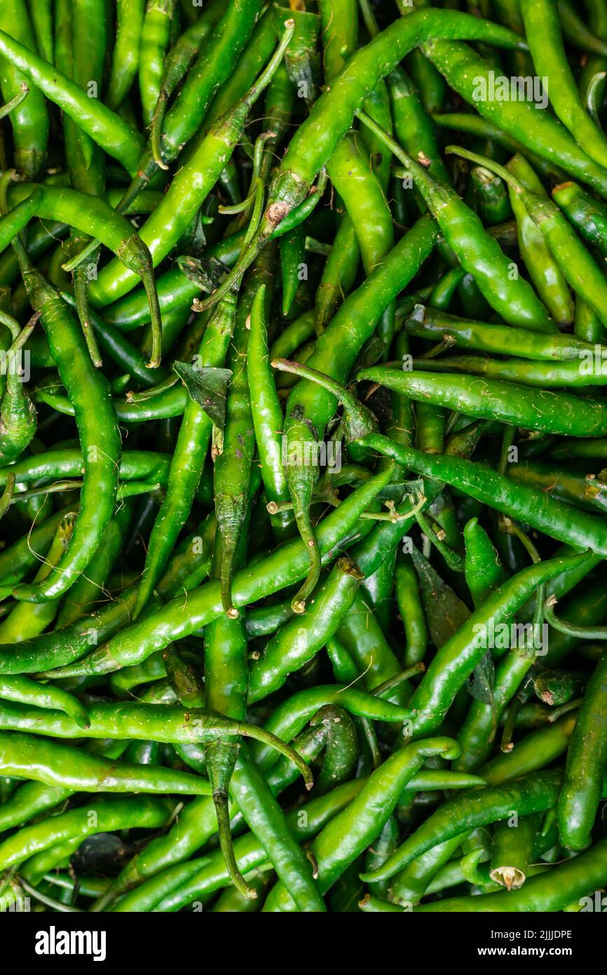 fresh organic green chilli from farm close up from different angle ...