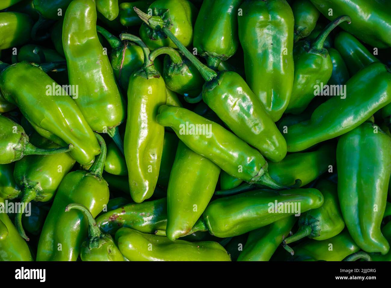 fresh organic green chilli from farm close up from different angle ...