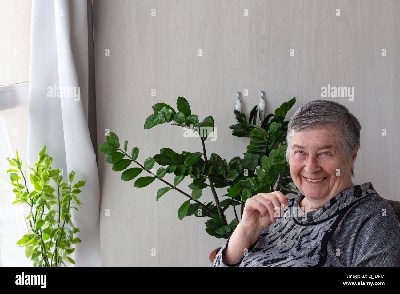 happy old lady posing at home indoor, positive single senior retired ...