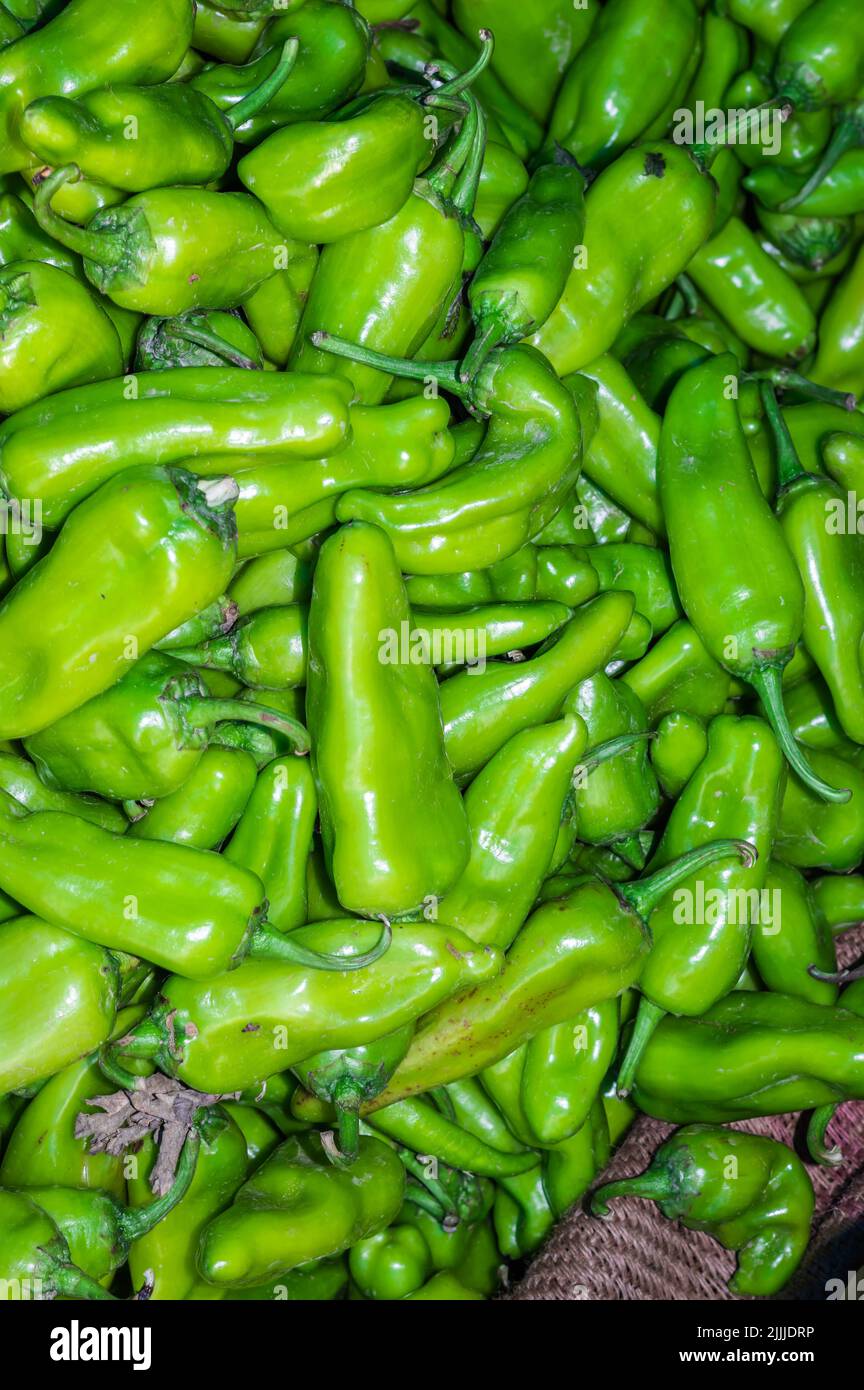 fresh organic green chilli from farm close up from different angle ...