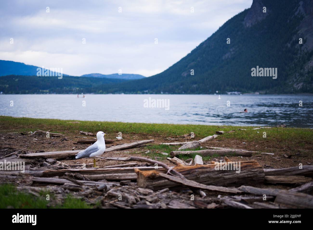 Eagle lake beach hi-res stock photography and images - Alamy