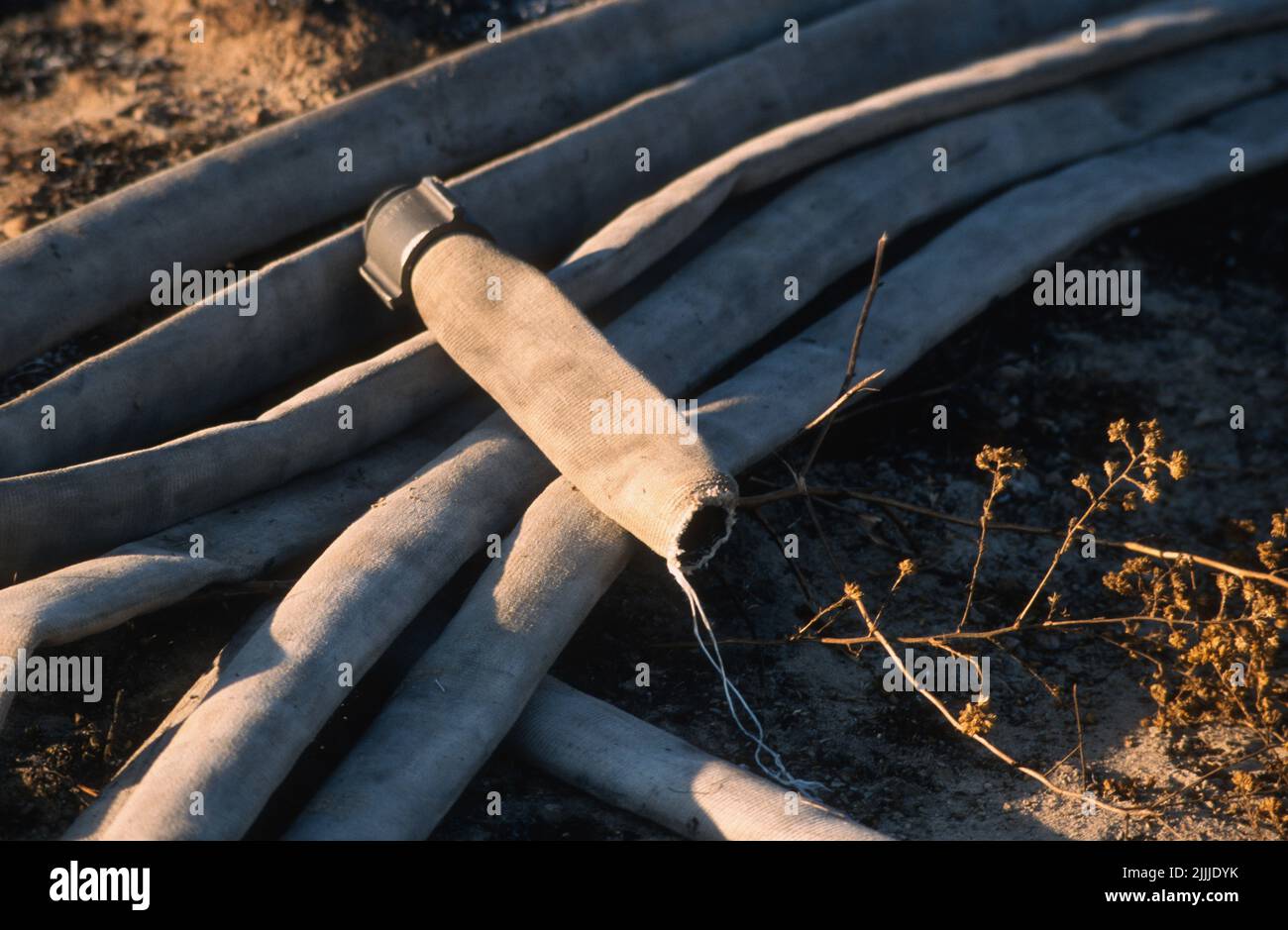 Destroyed wildland fire hose Stock Photo - Alamy