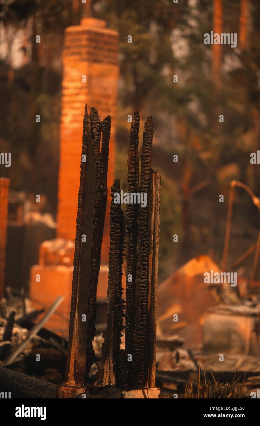 Damage from the 2003 Cedar wildfire in San Diego, California Stock ...