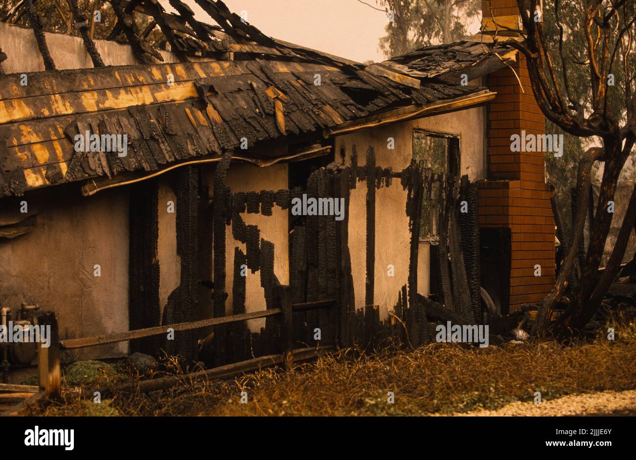 Damage from the 2003 Cedar wildfire in San Diego, California Stock ...