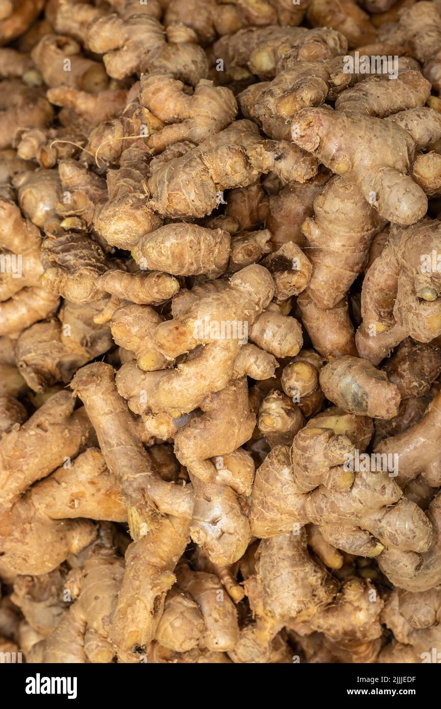 fresh organic ginger from farm close up from different angle Stock ...