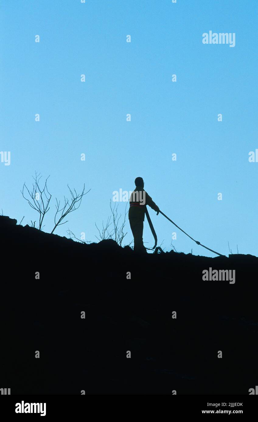 Firefighter repositioning hose line following a brush fire Stock Photo ...