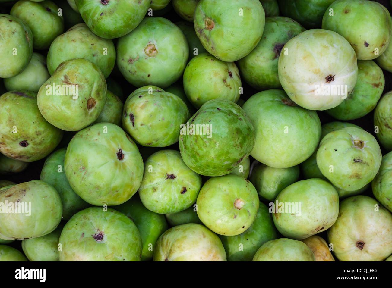 fresh organic green vegetable from farm close up from different angle ...
