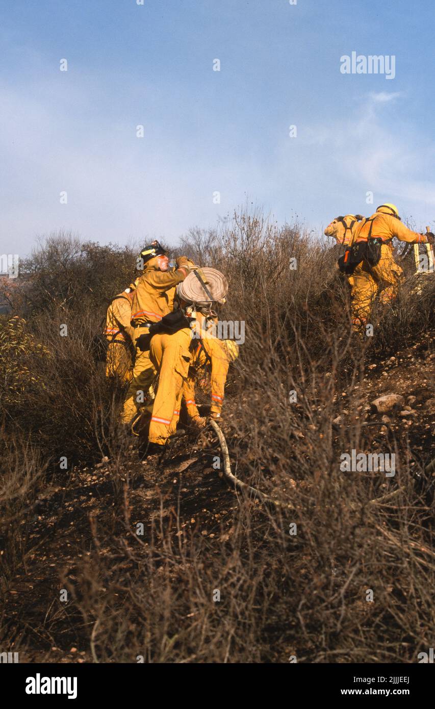 Firefighters working the flank of a fire in San Diego, California Stock ...