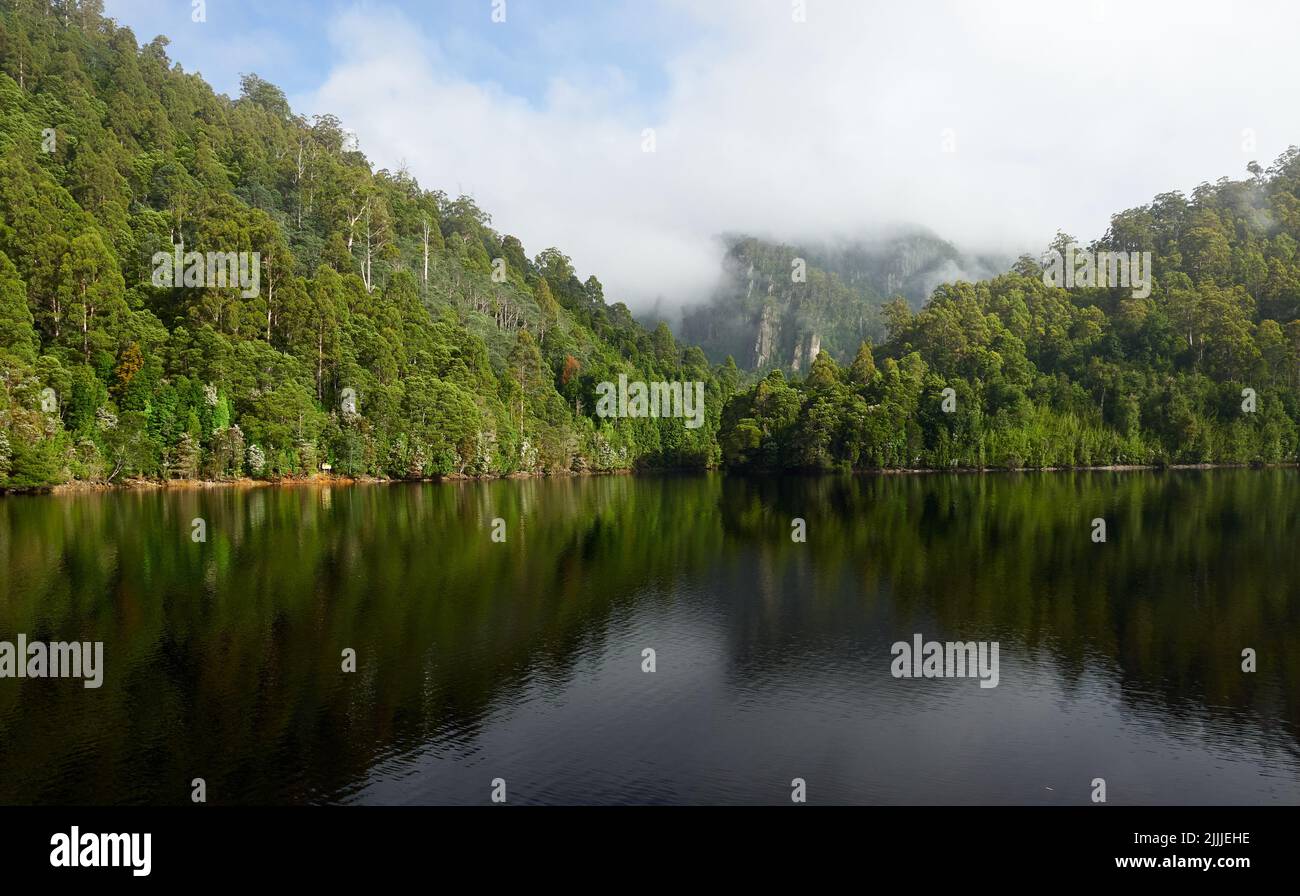 A beautiful view of trees reflecting Lake Mackintosh under a misty blue ...