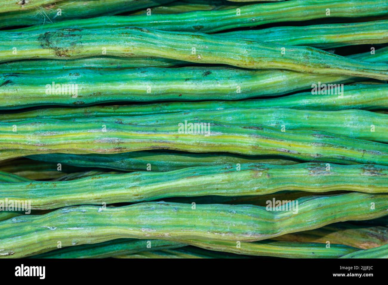 Drumsticks Vegetable Single