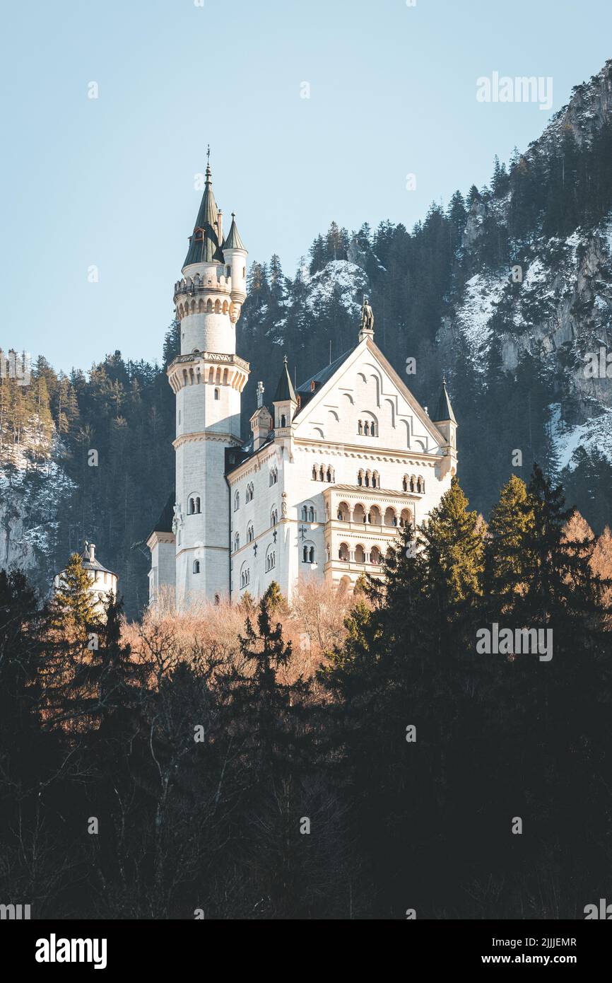 Palace in middle forest hi-res stock photography and images - Alamy