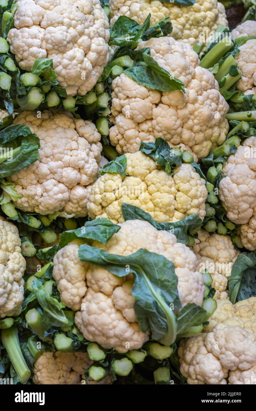 fresh organic cauliflower from farm close up from different angle Stock ...