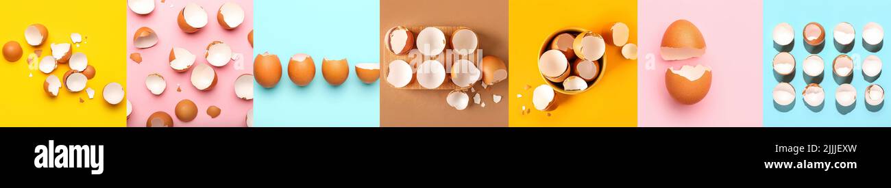 Collage with broken egg shells on color background Stock Photo - Alamy