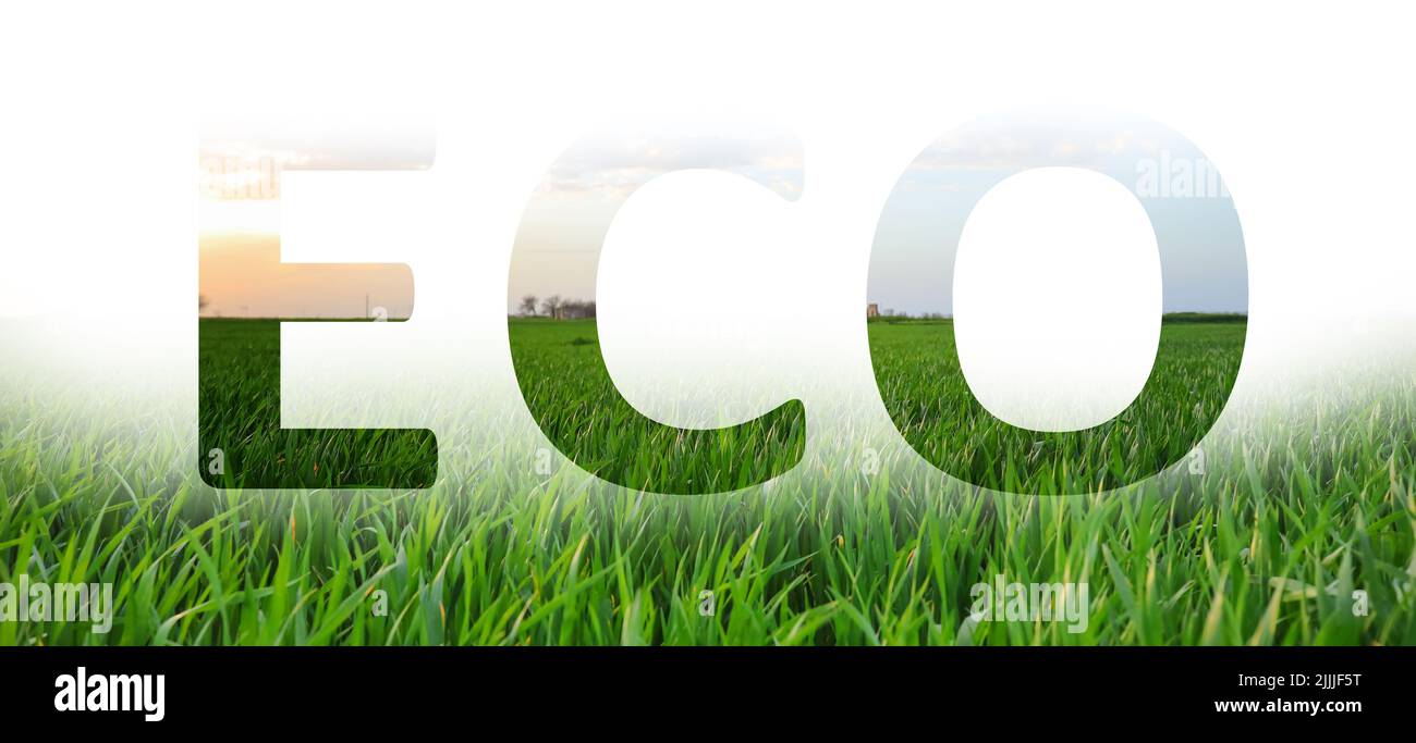 Collage with green grass and word ECO Stock Photo - Alamy
