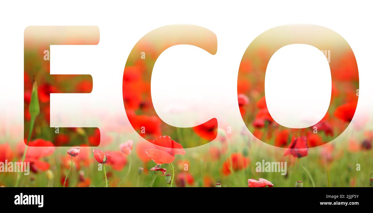 Collage with poppy field and word ECO Stock Photo - Alamy