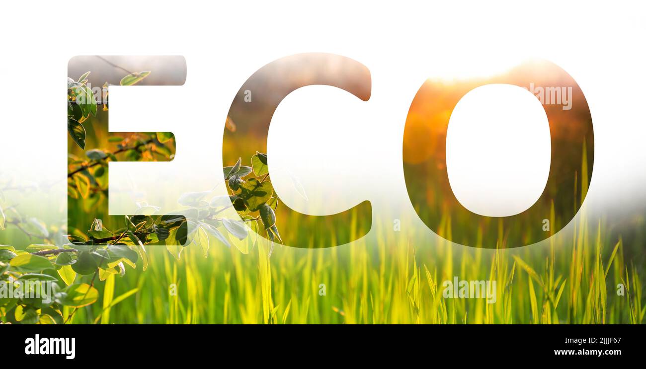 Green collage nature ecology purity hi-res stock photography and images ...