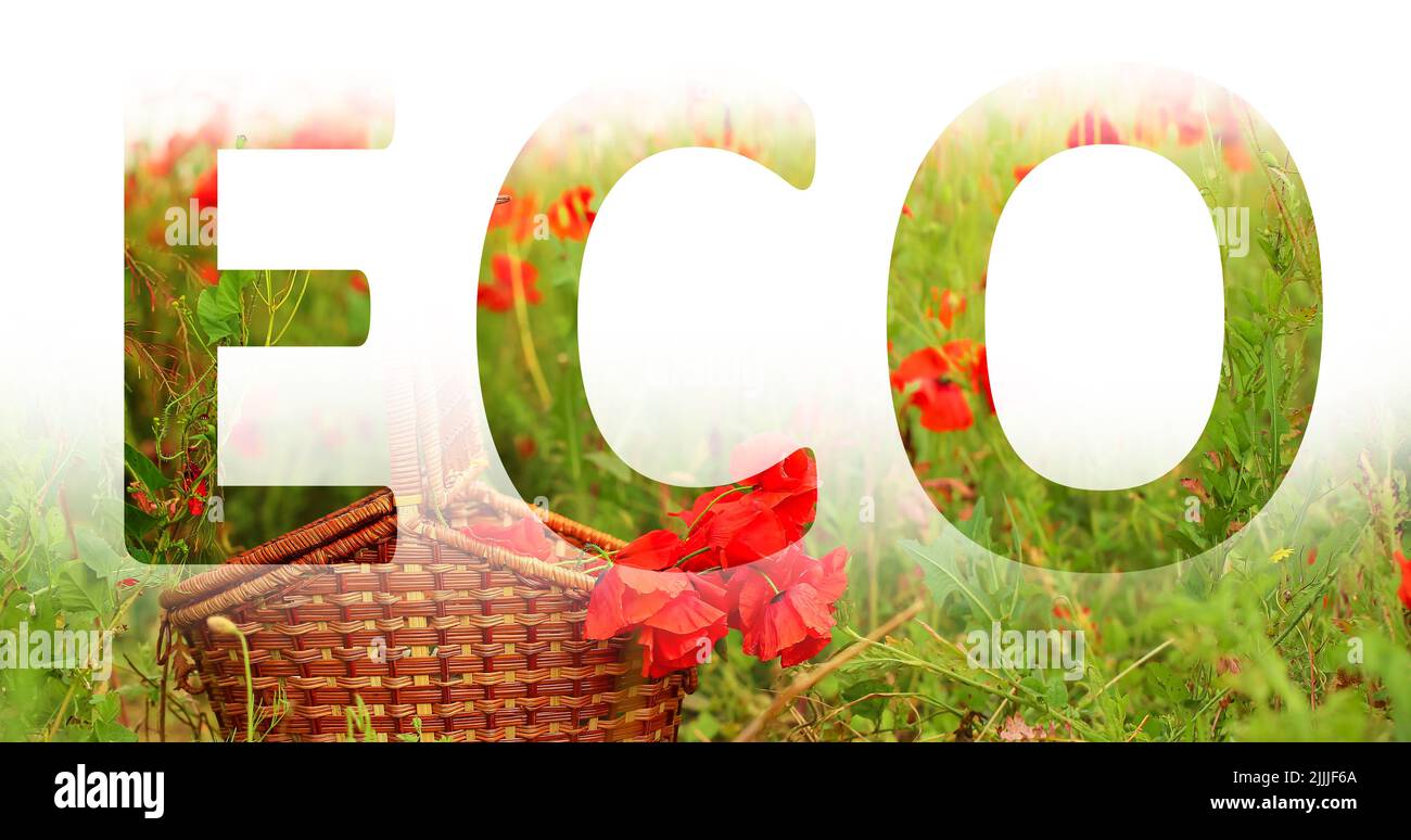 Collage with poppy field and word ECO Stock Photo - Alamy