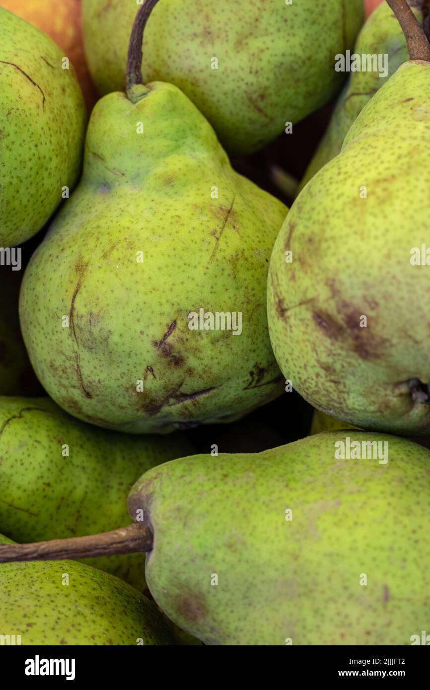 fresh organic pear from farm close up from different angle Stock Photo ...