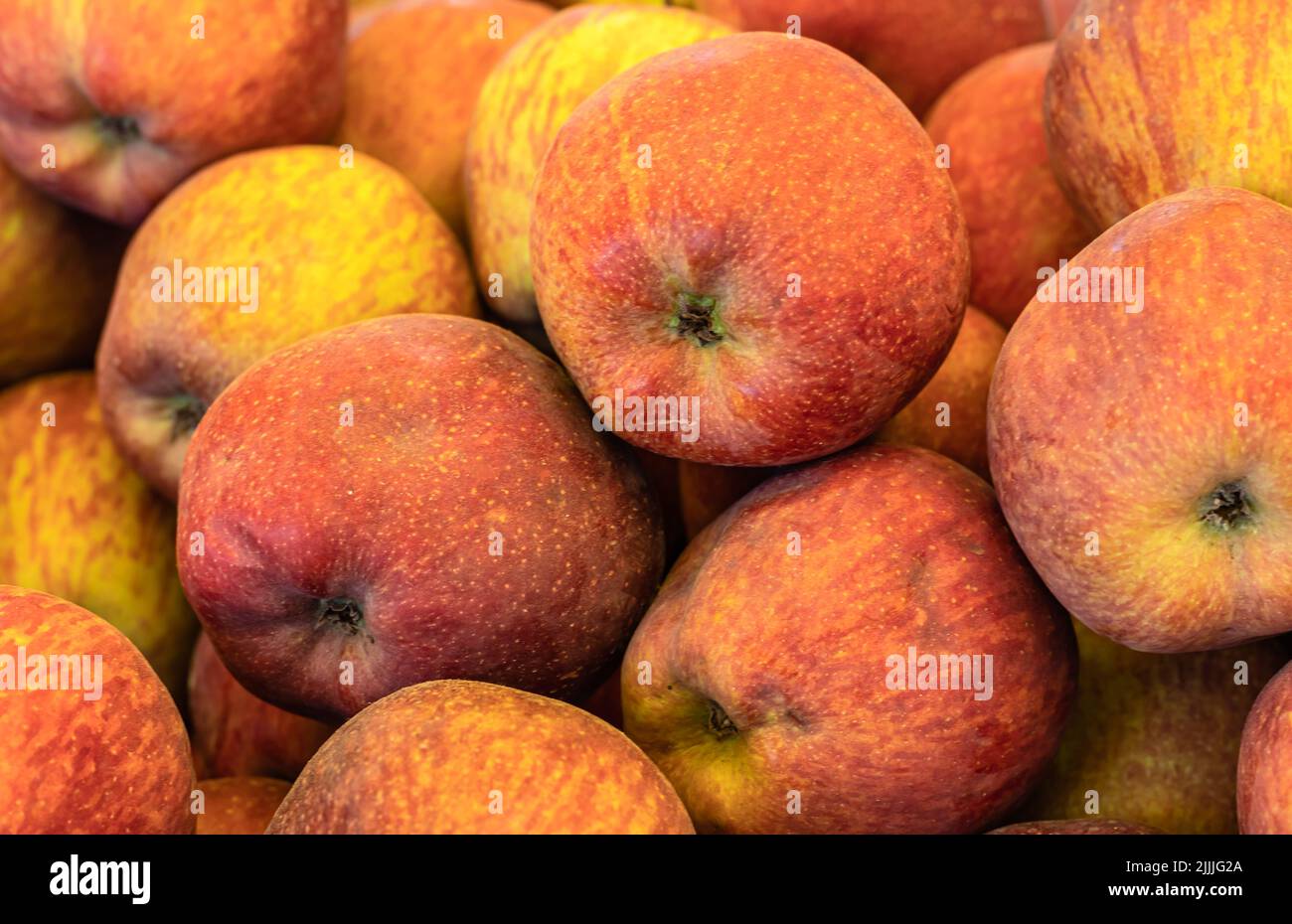 fresh organic apples from farm close up from different angle Stock ...