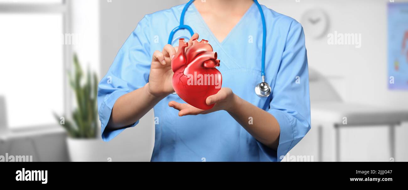 Cardiologist using digital twin technology in clinic Stock Photo - Alamy Cardiologist using digital twin technology in clinic Stock Photo - Alamy