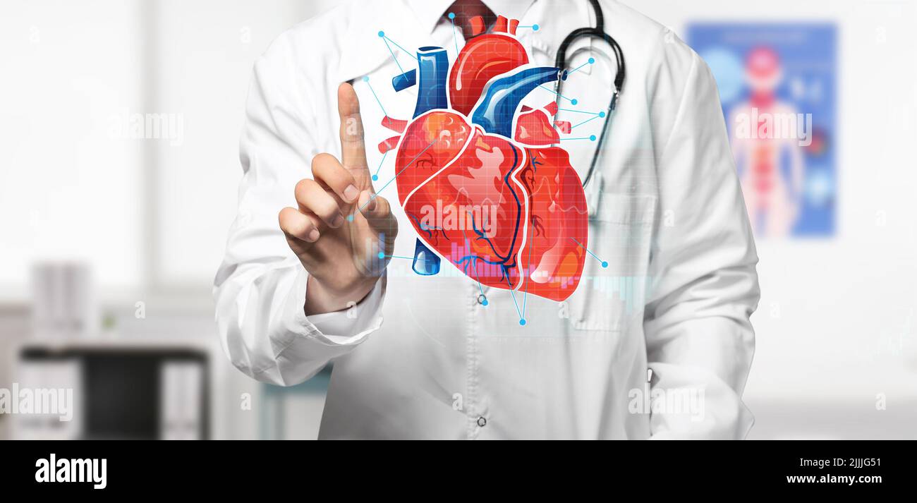 Cardiologist using digital twin technology in clinic Stock Photo - Alamy