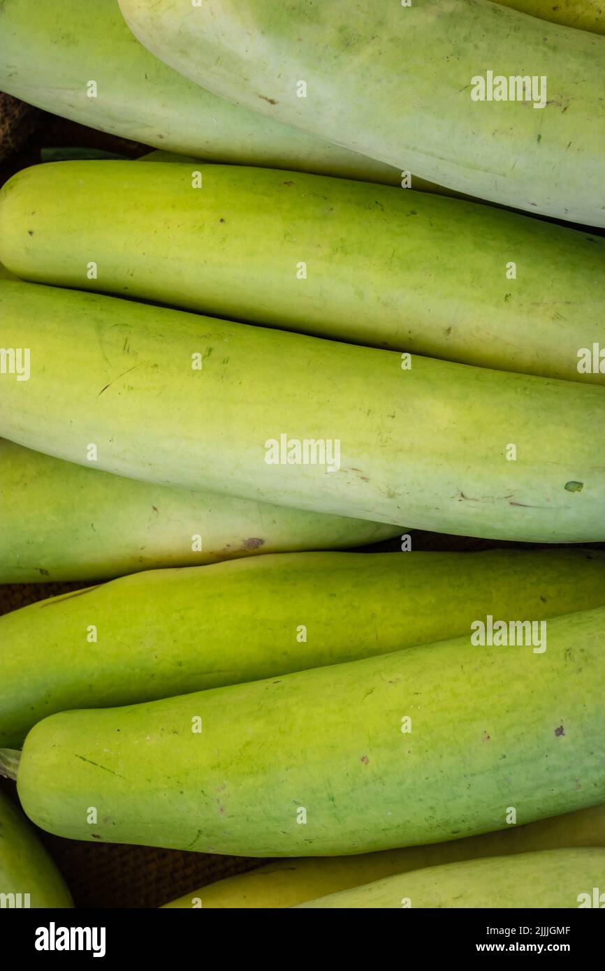 fresh organic bottle gourd from farm close up from different angle ...