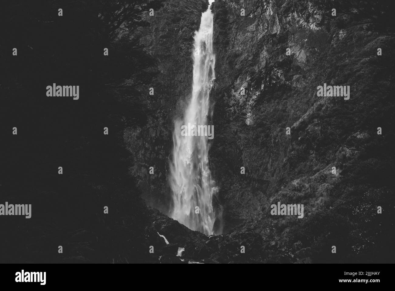 Green devil Black and White Stock Photos & Images - Alamy