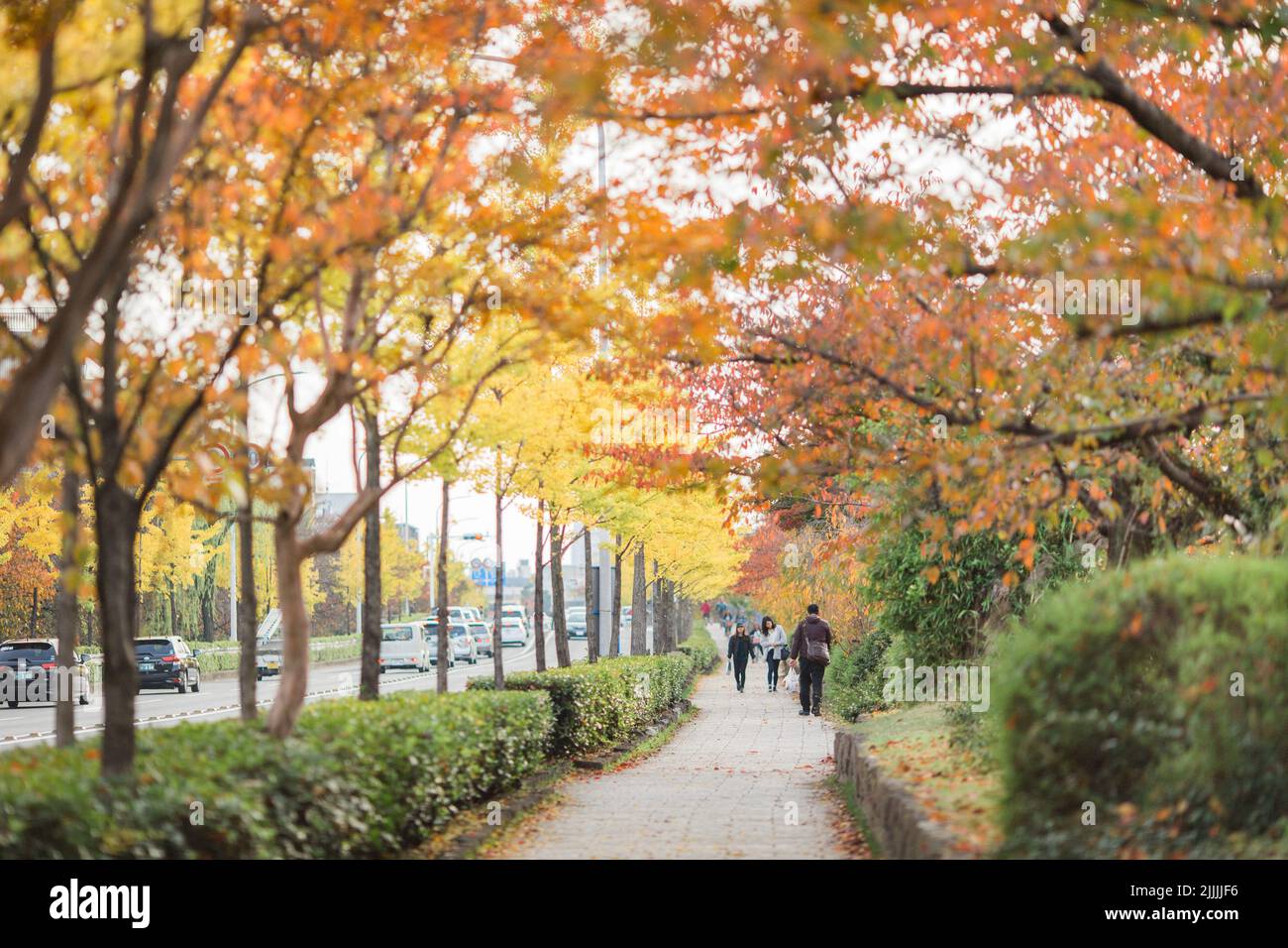 Beautiful side street hi-res stock photography and images - Alamy